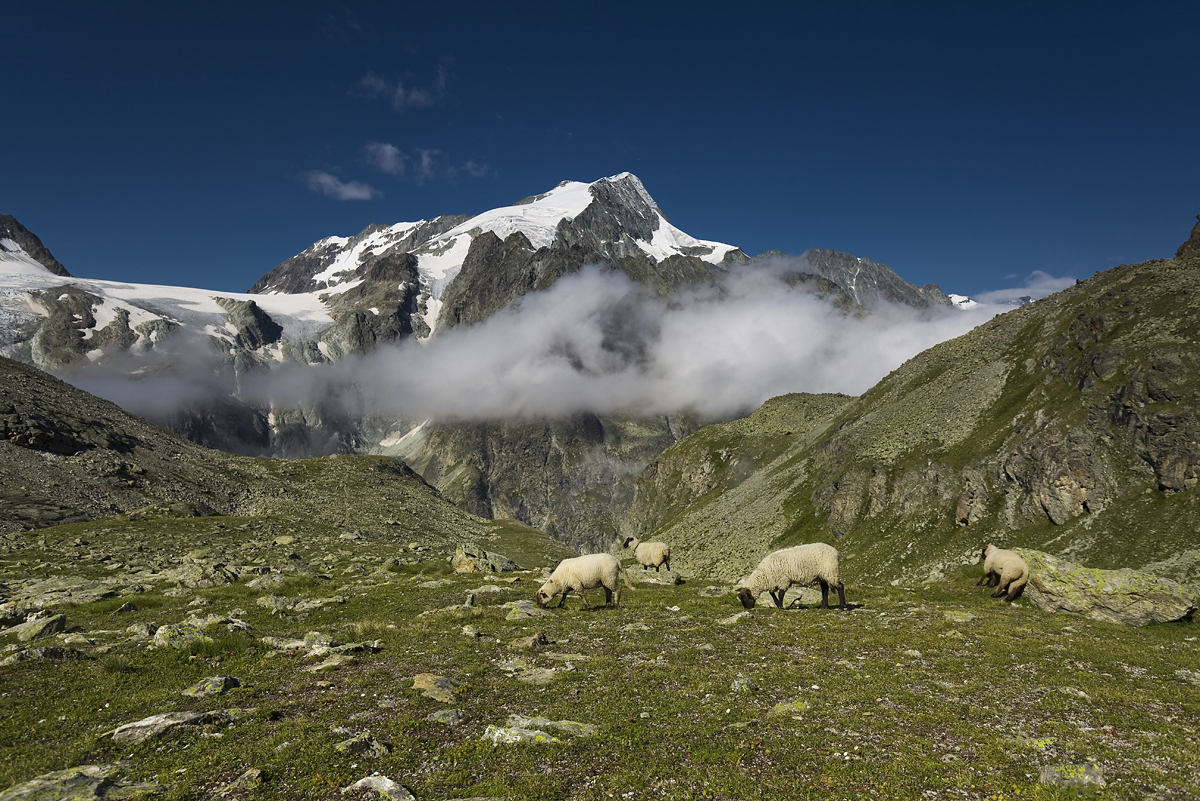 Alpy Szwajcaria — KAROL NIENARTOWICZ Mountain Photographer